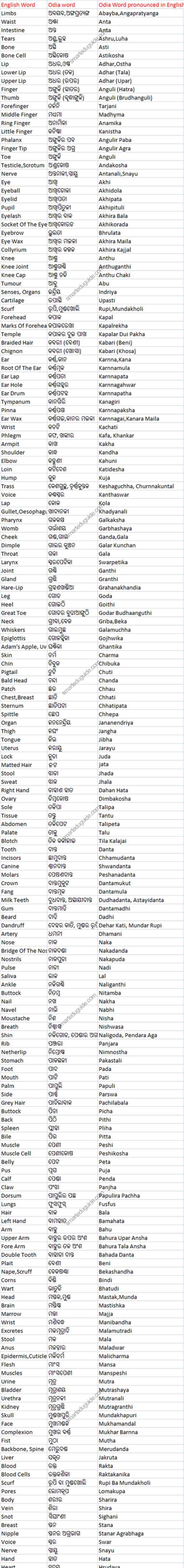 Human Body Parts In Odia To English Words Human Body Parts In Odia To human-body-parts-in-odia-to-english-words-human-body-parts-in-odia-to