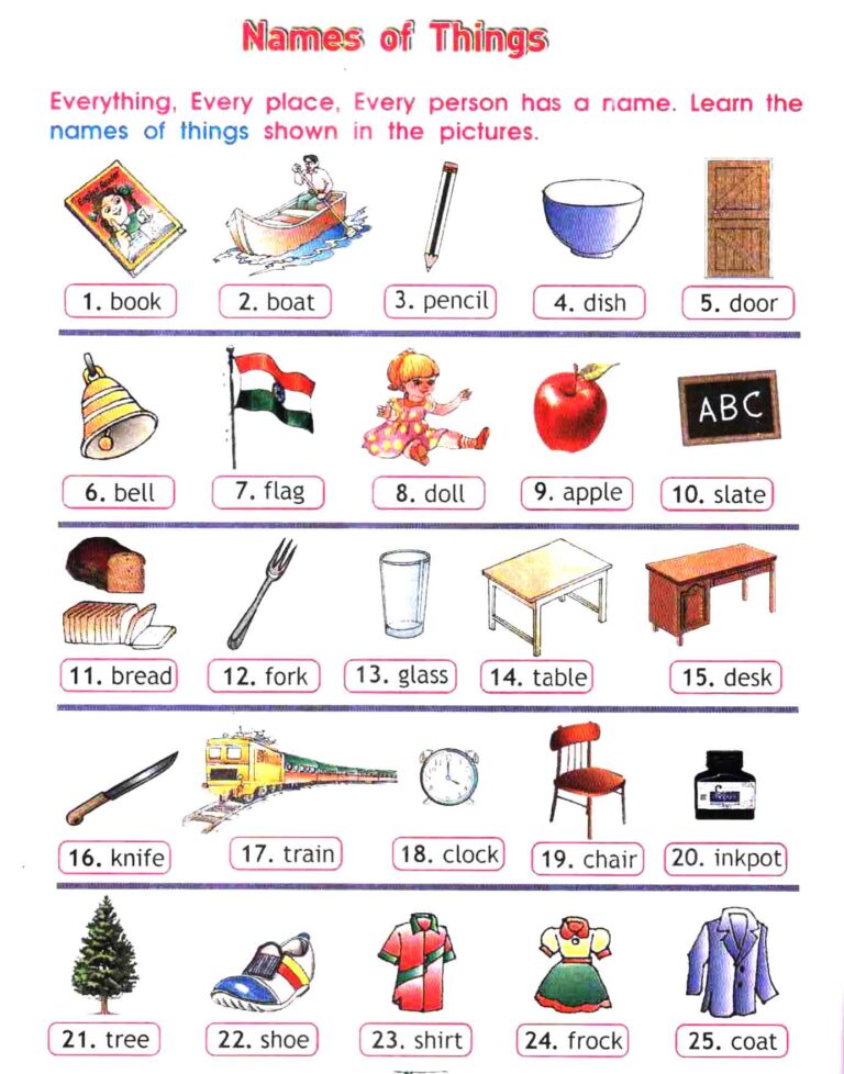 SEG Names Of Things In English
